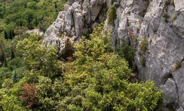 Pleine Nature - CC Cévennes Gangeoises & Suménoises