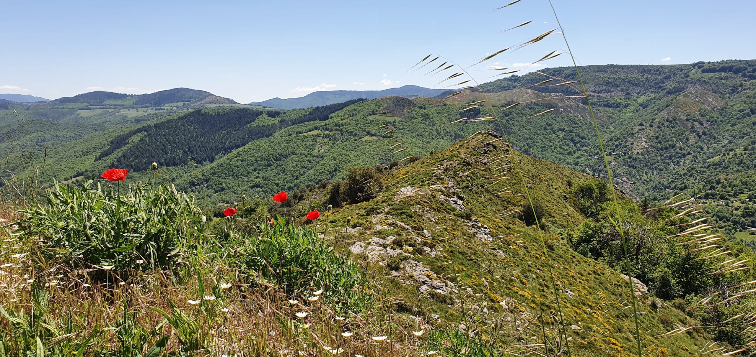 Taxe séjour - CC Cévennes Gangeoises & Suménoises