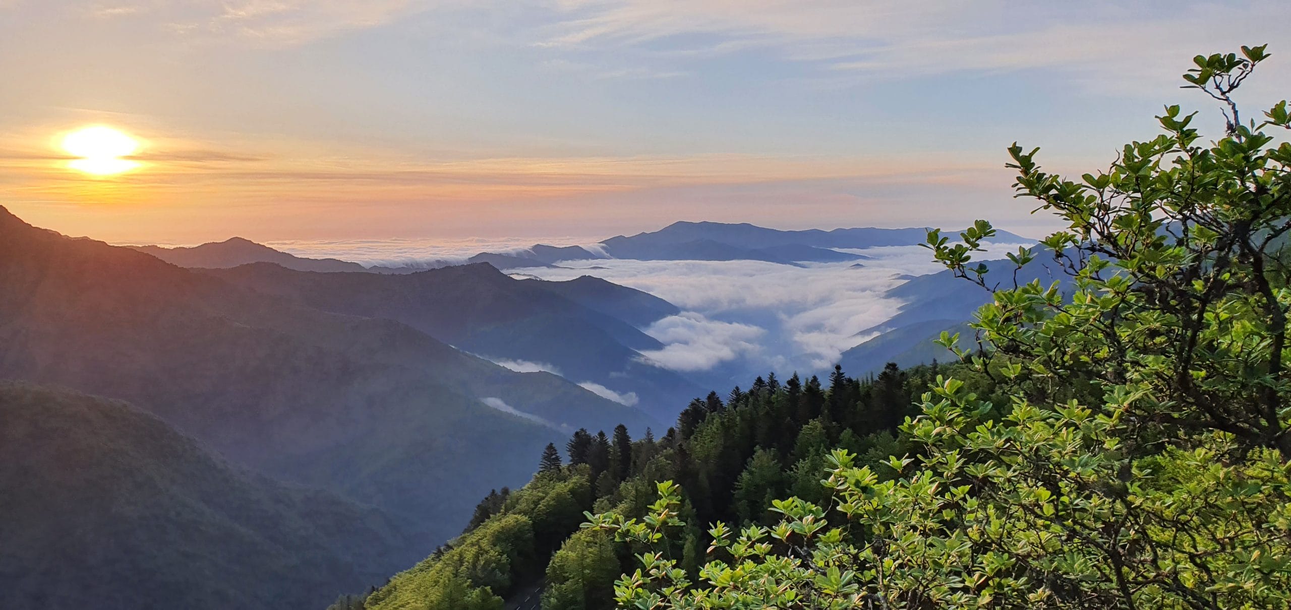 Parc National des Cévennes - CC Cévennes Gangeoises & Suménoises